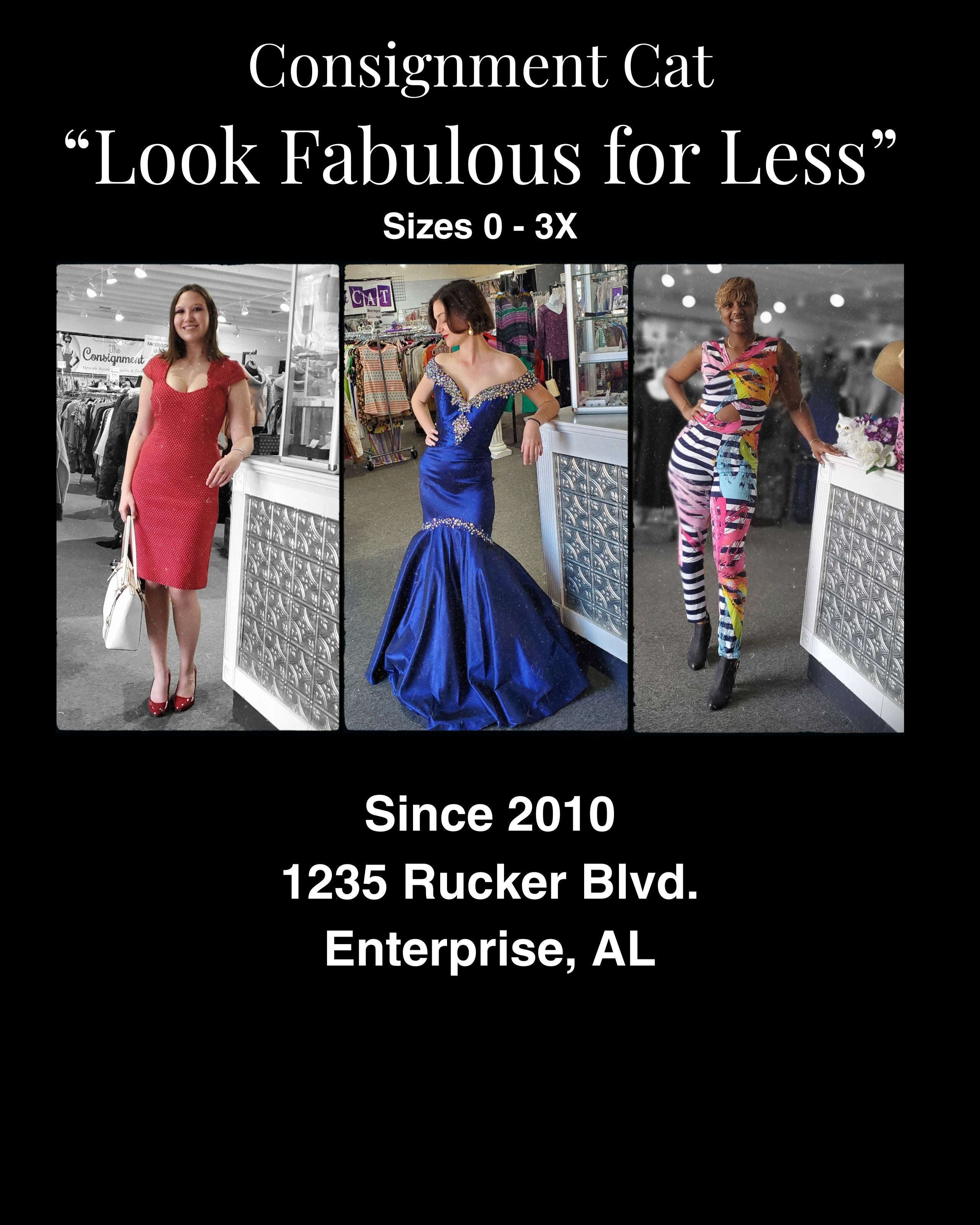 Consignment Cat - Look Fabulous for Less!